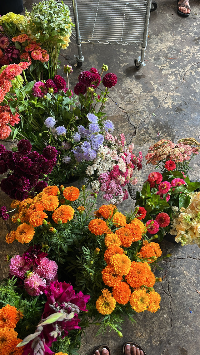 About Us – TG Floristry